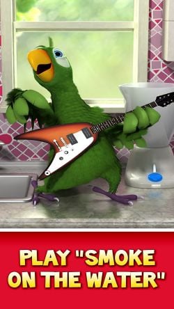 Talking Pierre the Parrot - TricksGame is a popular gaming platform ...